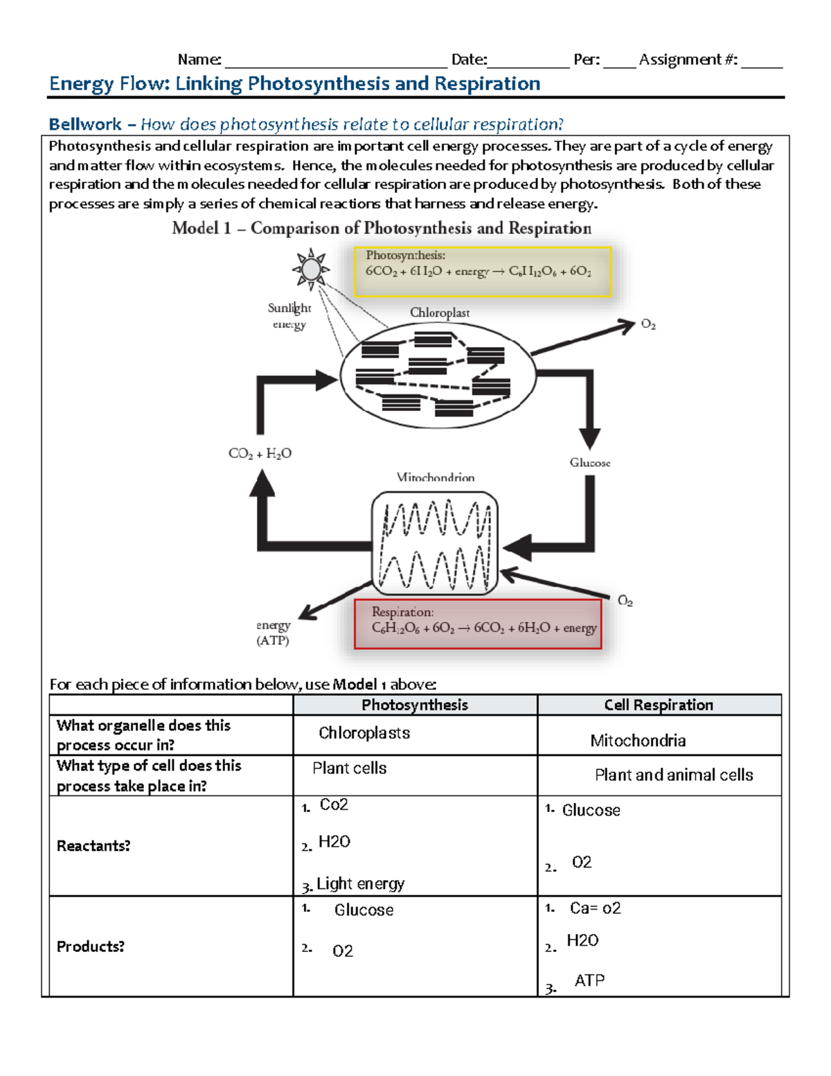 Kami Export - Alana Duncan - Photosynthesis, Respiration and ...