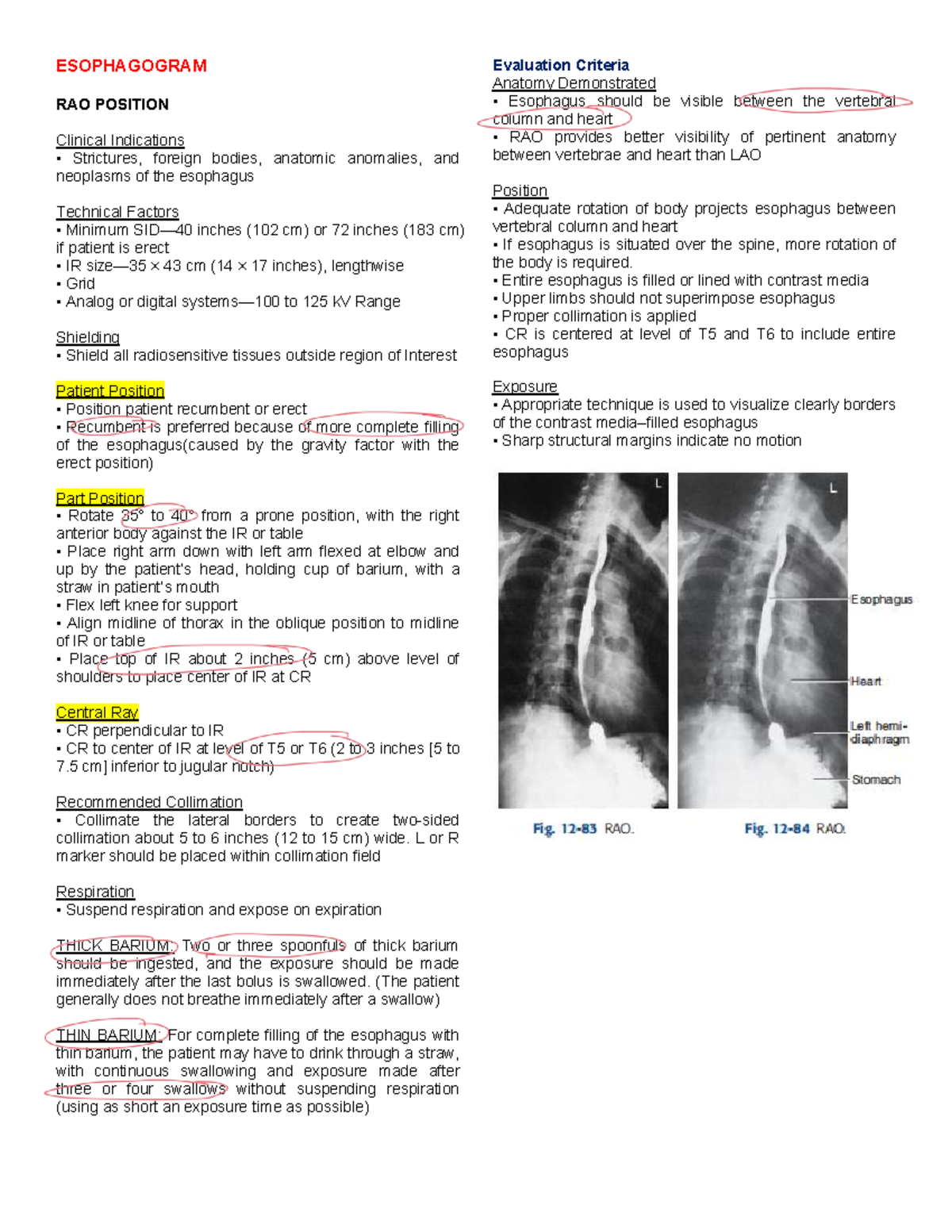 SPRO Revalida REV - Special Radiographic Procedures - ESOPHAGOGRAM RAO ...