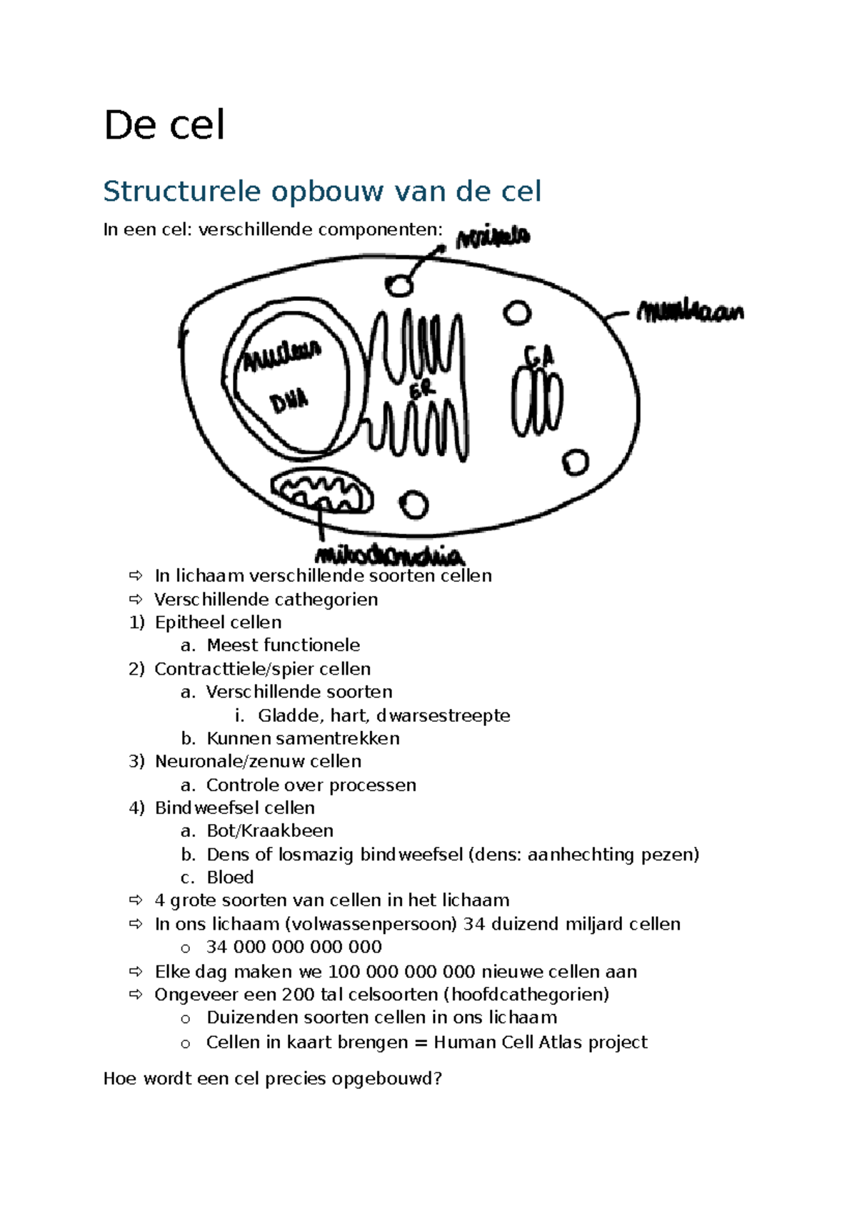 Histologie les 2 - De cel Structurele opbouw van de cel In een cel ...