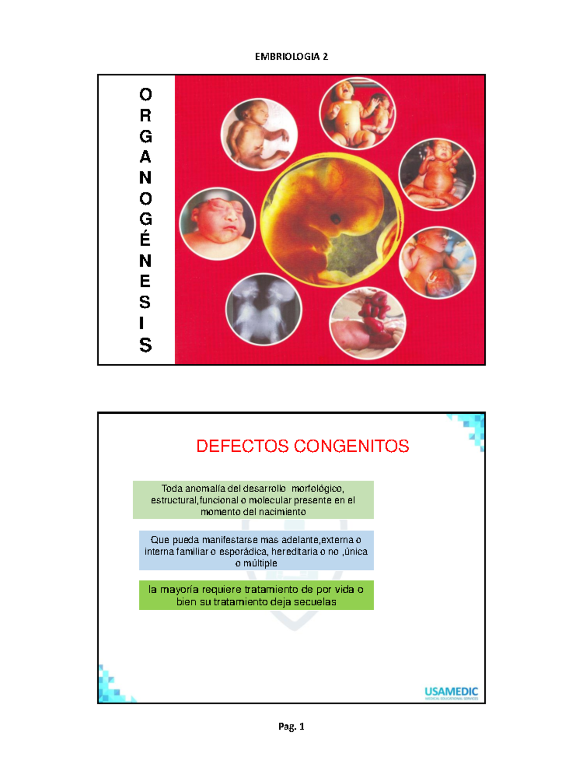 Embriologia 2 Usamedic - O R G A N O G É N E S I S DEFECTOS CONGENITOS ...