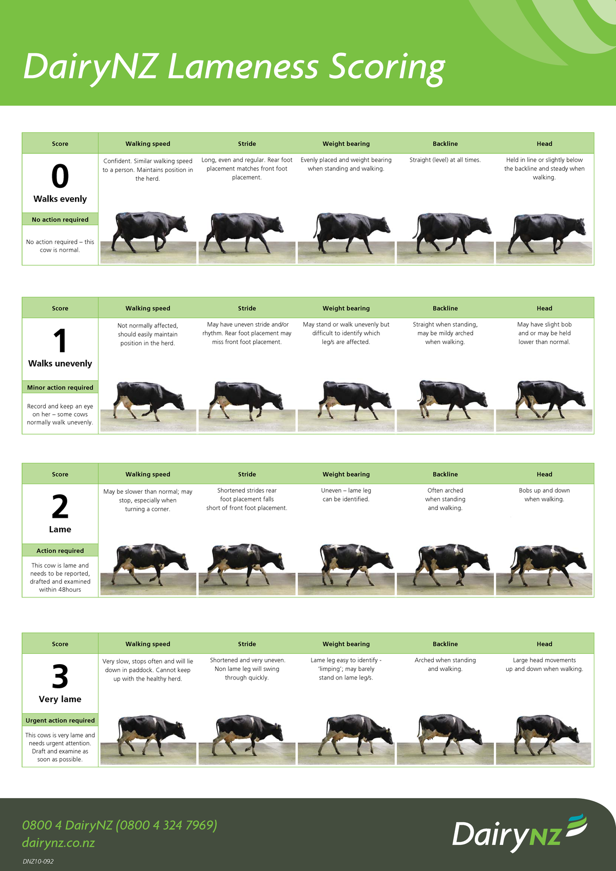 Lameness scoring poster dairynz - Score Walking speed Stride Weight ...