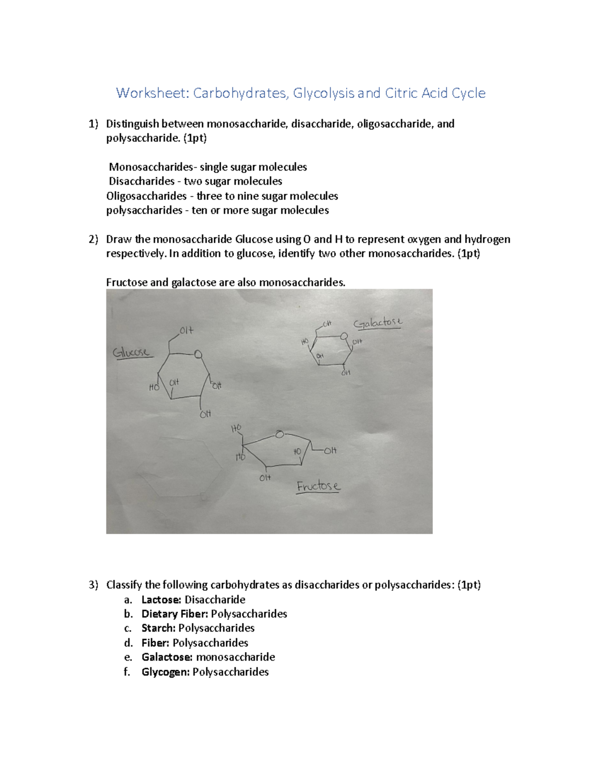 Worksheet Carbohydrates Glycolysis And Citric Acid Cycle Worksheet