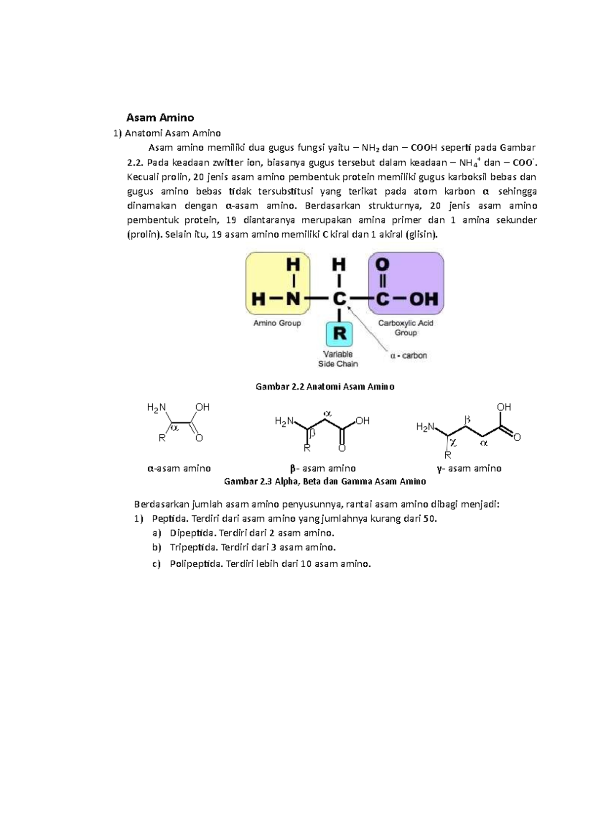 Asam amino penjelasan - Asam Amino Anatomi Asam Amino Asam amino ...