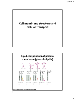 Lecture 2 - Notes - General structure of different types of cells on ...
