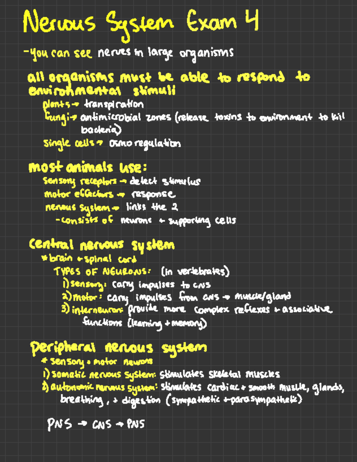 Bio 199 Nervous System - Bio 199, General Biology 2, Alex Landy ...