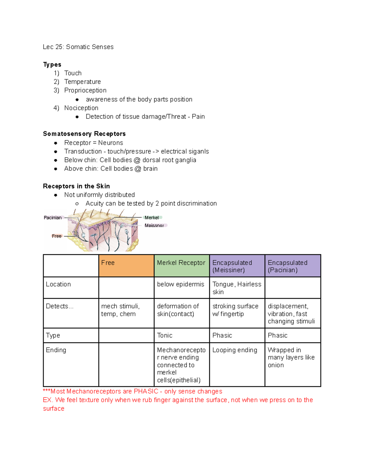 PSL300 Lec 25-26 Summary - Lec 25: Somatic Senses Types 1) Touch 2) Temperature 3 ...