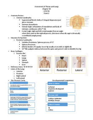 Notes - Test 2 - Abdomen - Health Assessment – Abdomen Notes What is ...