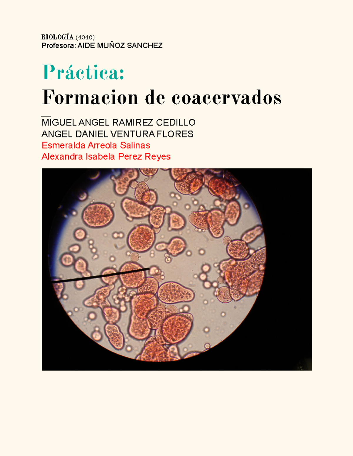 Formacion de coacervados - BIOLOGÍA (4040) Profesora: AIDE MUÑOZ ...