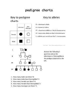 Macromolecule Pogil - Questions : Look at the picture above, how many ...