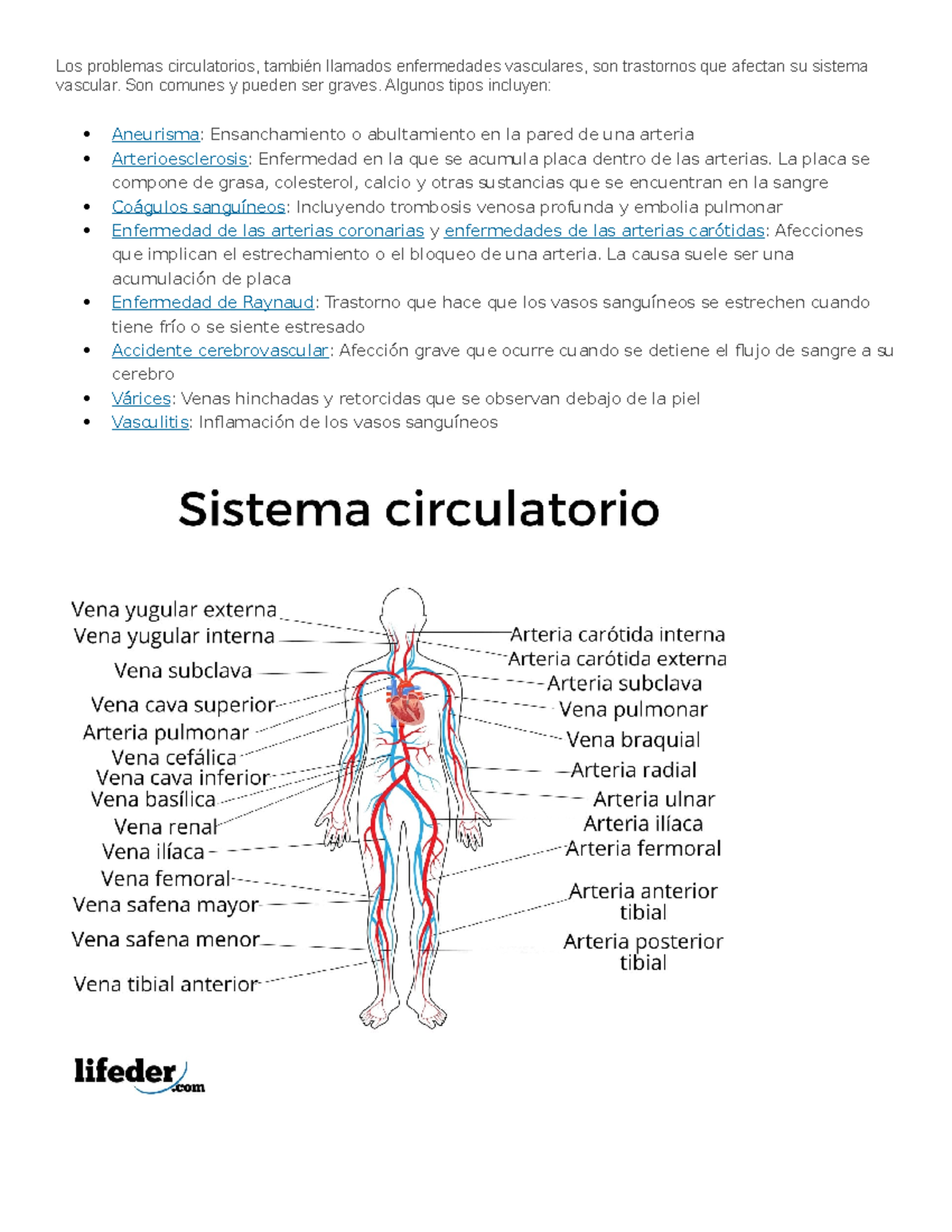 Los problemas circulatorios - Son comunes y pueden ser graves. Algunos ...