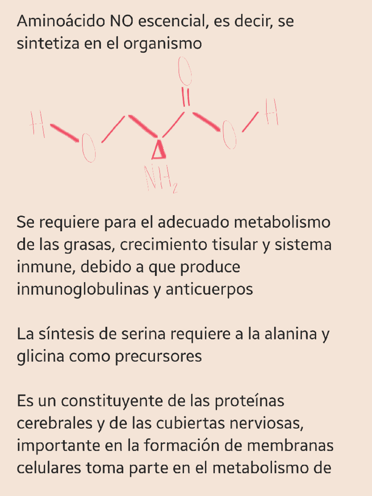 Serina - Bioquímica - Studocu