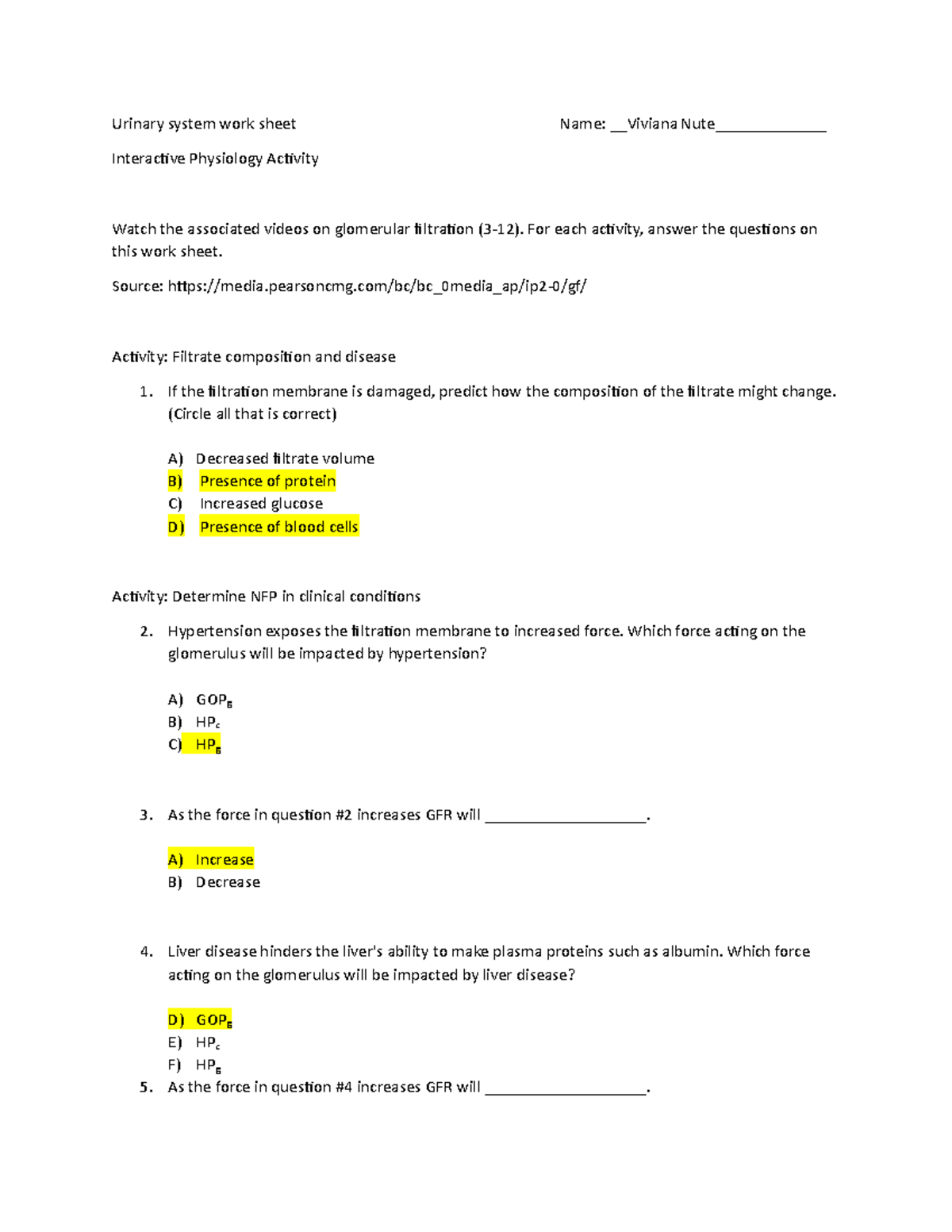 Glomerular Filtration Worksheet - Urinary system work sheet Name ...