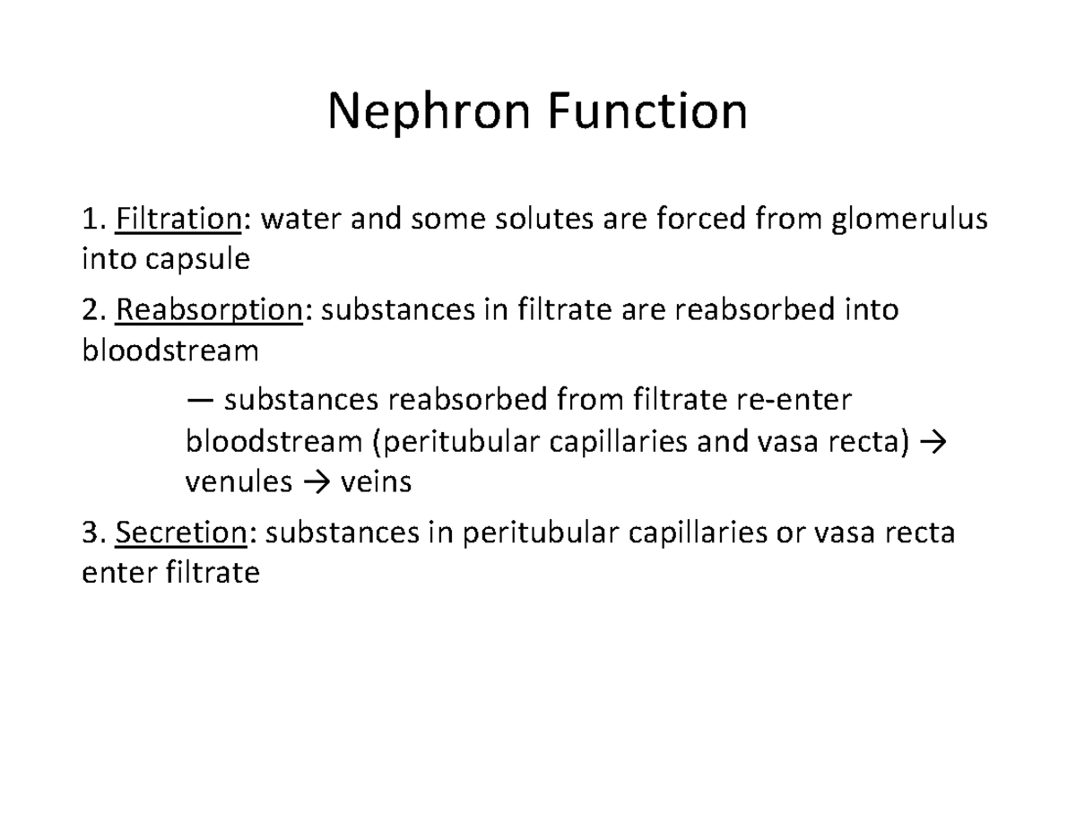 11 Urinary system 2 annotated MID2 - Nephron Function ####### 1 ...