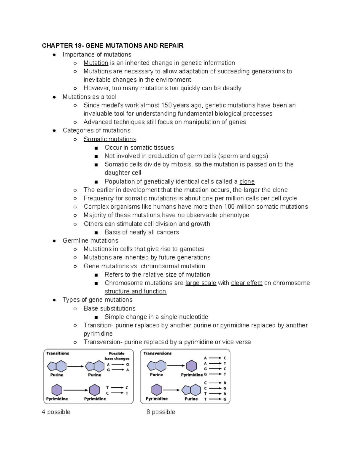 Genetics Chapter 18 Notes - CHAPTER 18- GENE MUTATIONS AND REPAIR ...