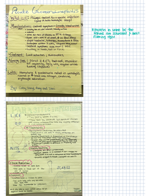 HIV System Disorder - HIV - ACTIVE LEARNING TEMPLATES System Disorder ...