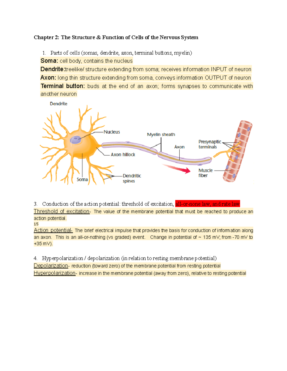 Untitled document - n/a - Chapter 2: The Structure & Function of Cells ...