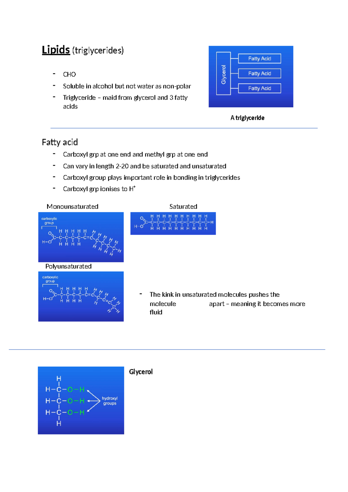 Lipids - notes on B2 ocr a spec biology a level - Lipids (triglycerides ...