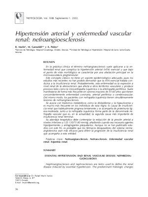 Nefroesclerosis HTA - refewfe3freferwfwerrfwe - Nefroangioesclerosis ...