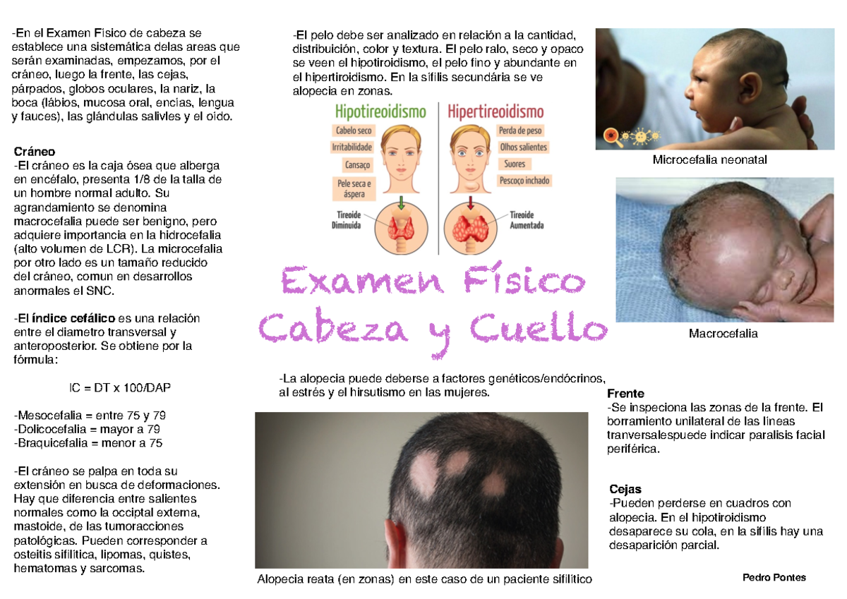 4- Exame Físico De Cabeza Y Cuello - Examen Físico Cabeza y Cuello -En el Examen Físico de ...