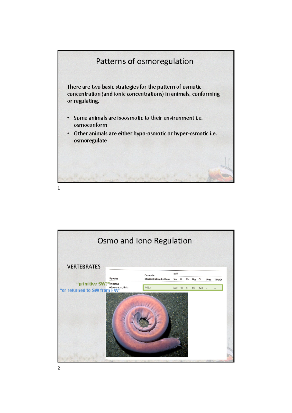 W5 patterns of regulation - Patterns of osmoregulation There are two ...