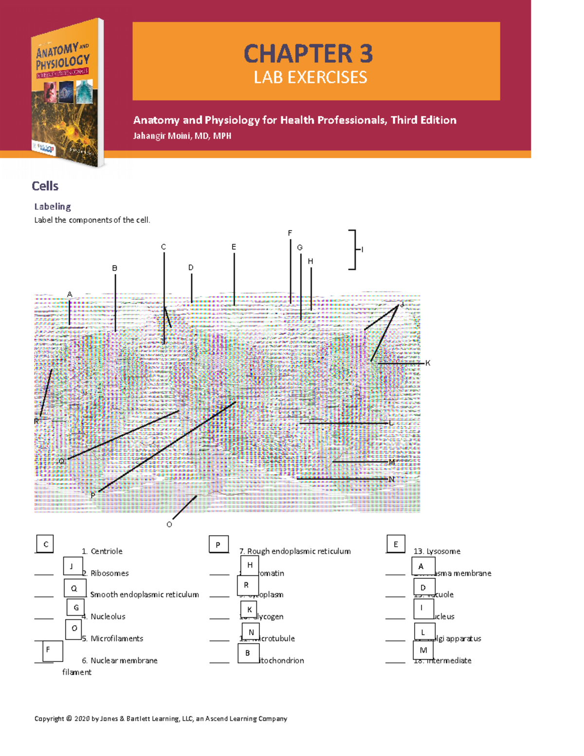 Chapter 3 Lab Exercise Kristen Armes - Labeling Label the components of ...