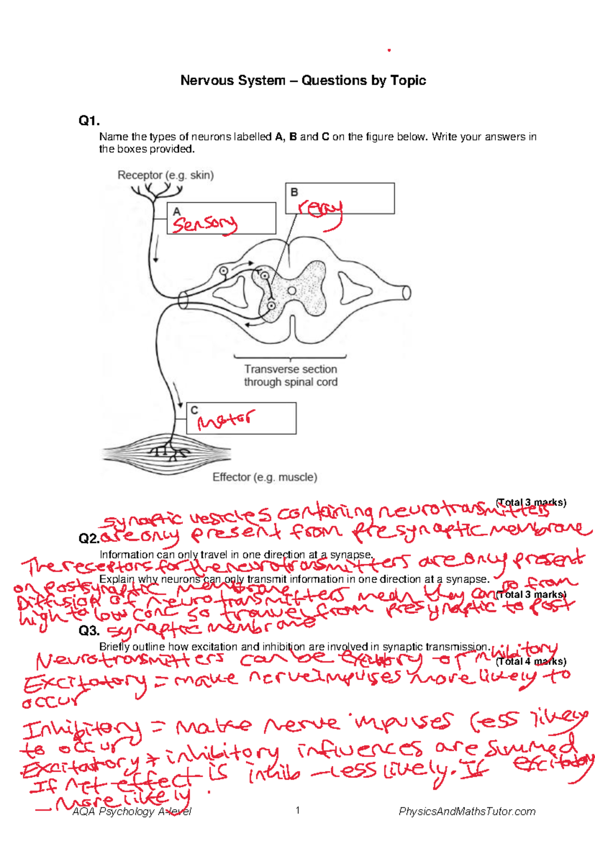 Nervous System - hhhhhhhhhhhhhhh - Nervous System – Questions by Topic ...