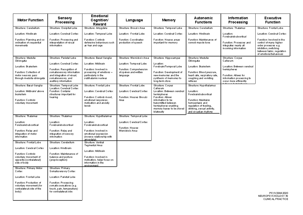 Function-Worksheet-100820 - Motor Function Sensory Processing Emotional ...