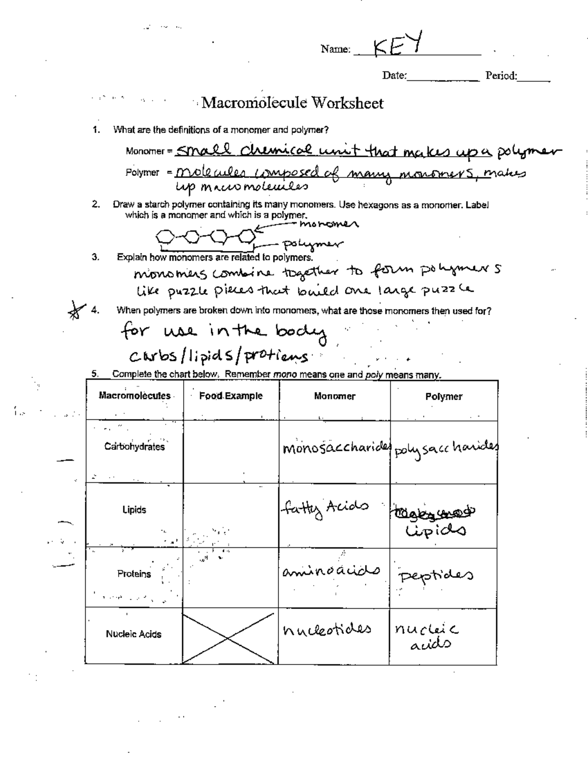Macromolecules key - Classworksheet - Studocu