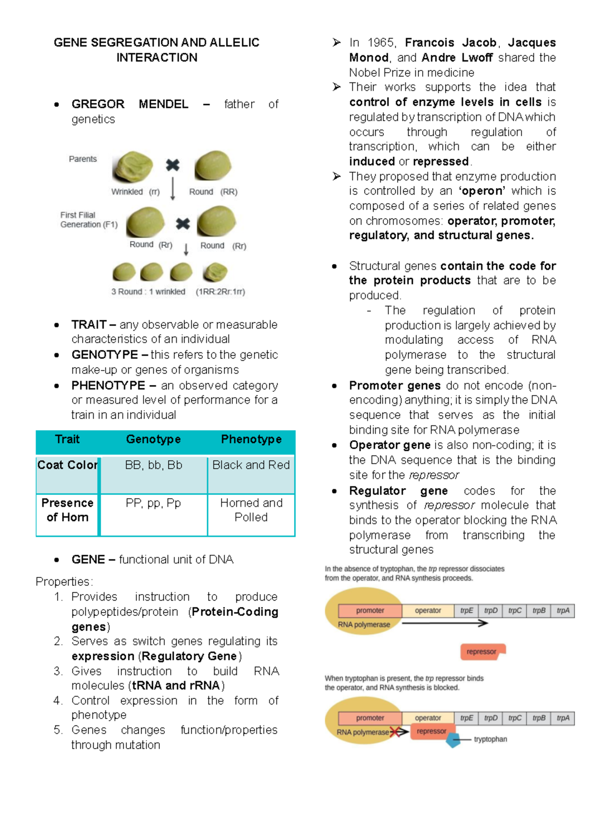 GENE Segregation AND Allelic Interaction - GENE SEGREGATION AND ALLELIC ...