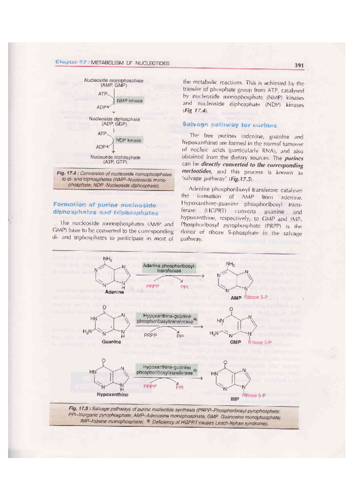 Biochemistry satyanarayana chakrapani cbbxch (1)-45 - Shapt*rr 17 ...