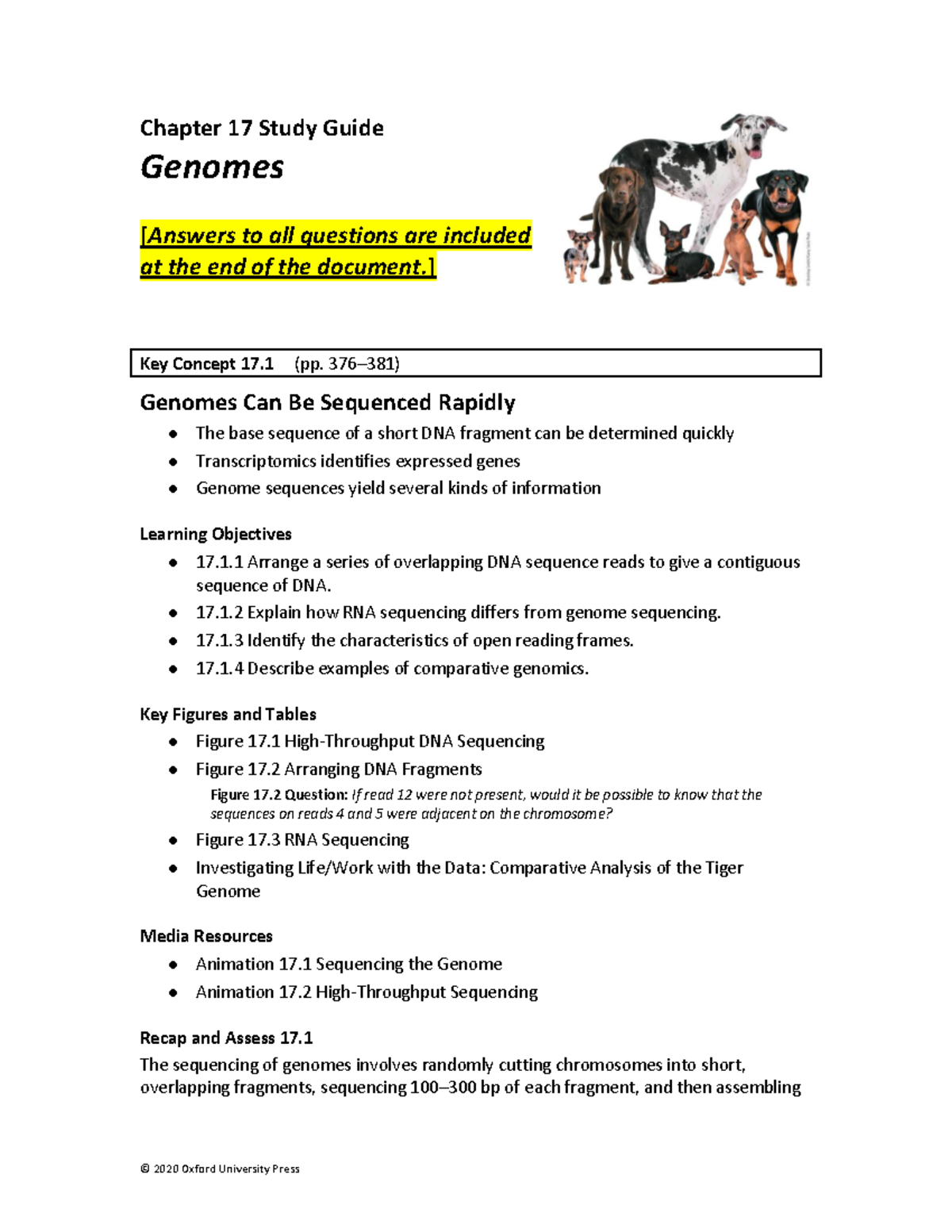 Chapter 17 Study Guide - genomes - Chapter 17 Study Guide Genomes ...