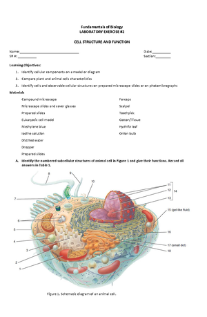 General-Biology-II Q4 Week 6 - FEEDBACK MECHANISM (GLUCOSE LEVEL ...