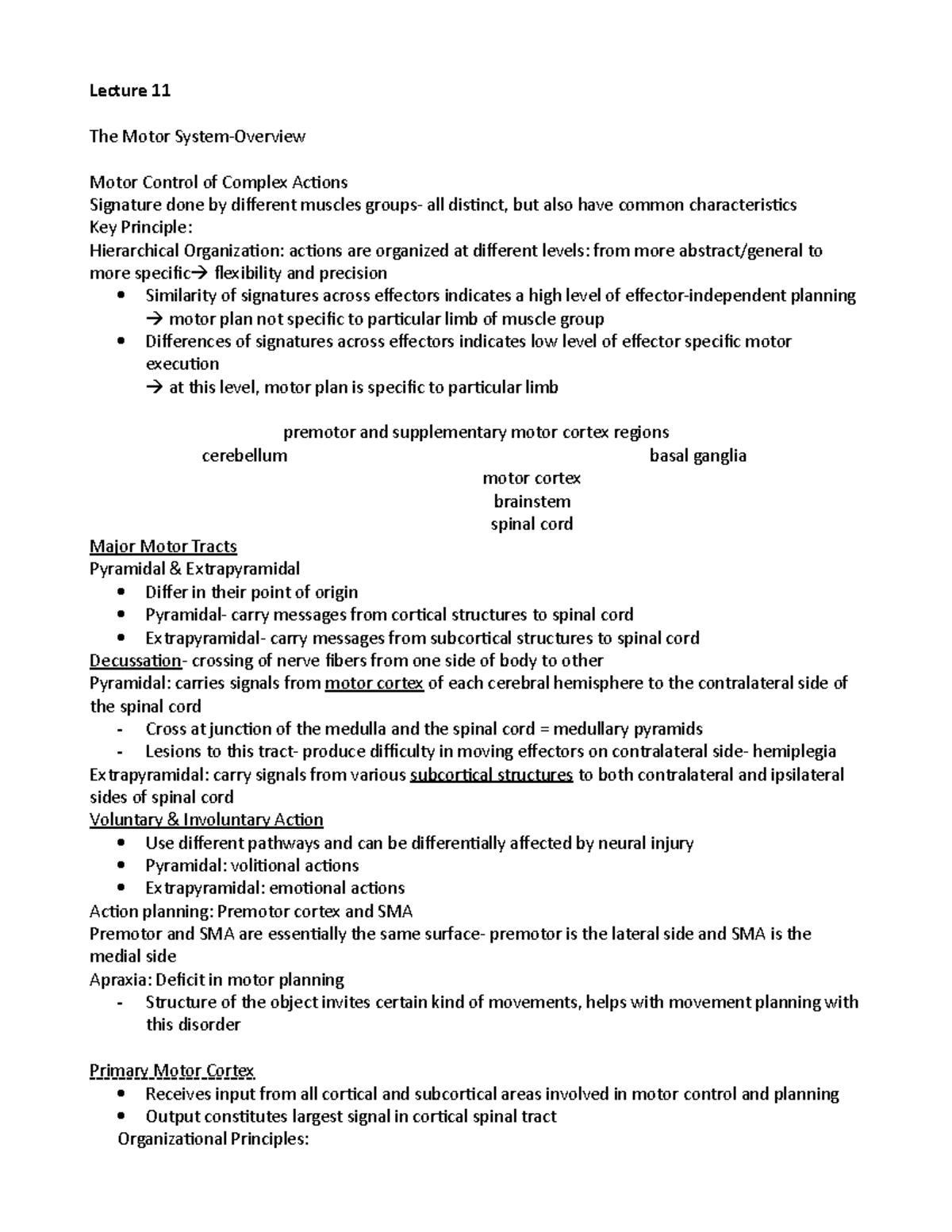 Lecture 11 - Lecture 11 The Motor System-Overview Motor Control of ...