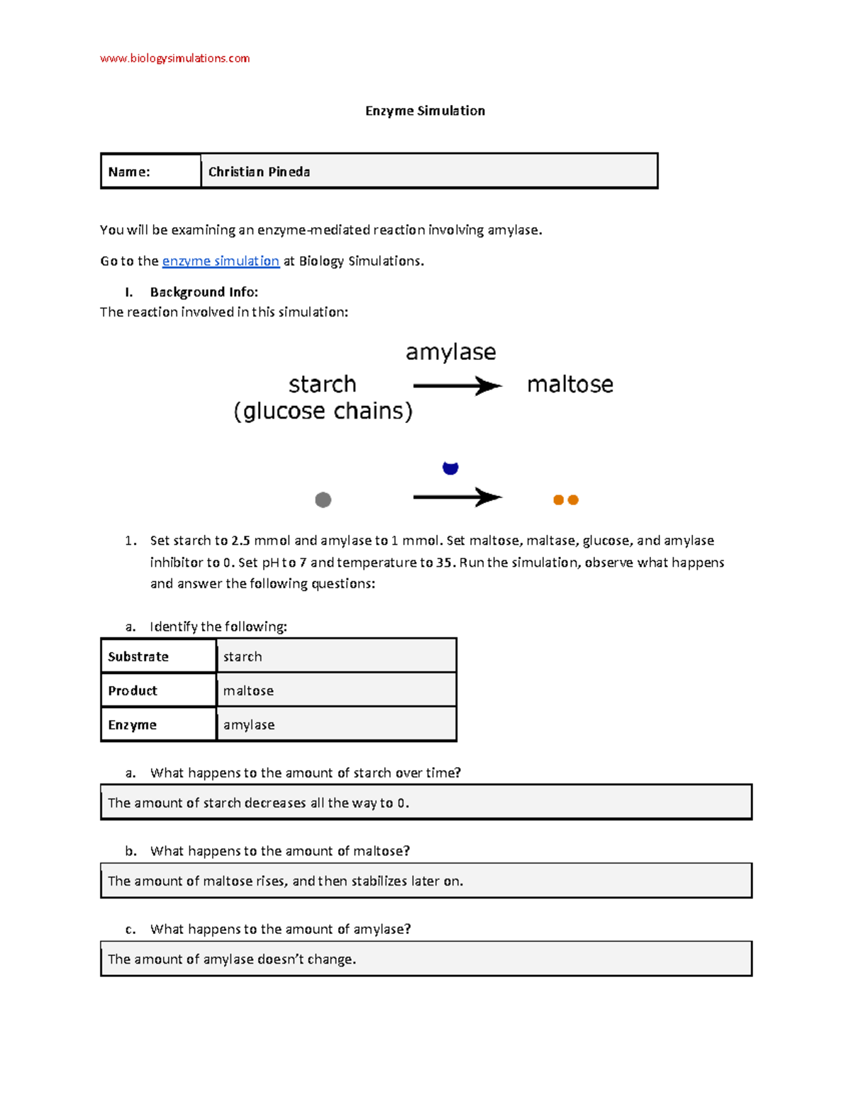 Enzyme Simulation - Amylase B - Enzyme Simulation Name: Christian ...