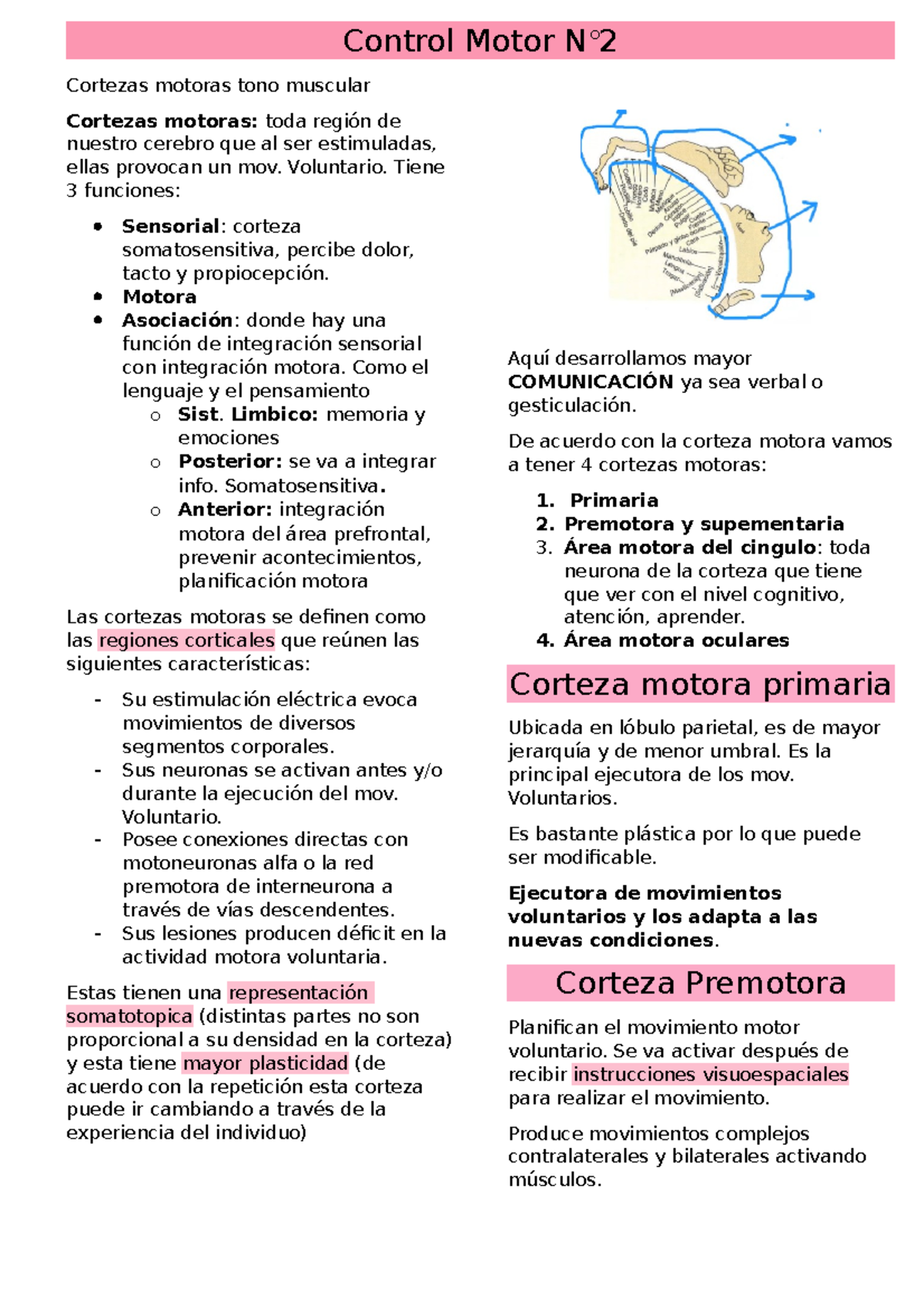 Control Motor N°2 - apuntes - Control Motor N° 2 Cortezas motoras tono ...