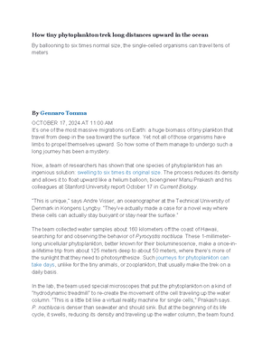 Synthesize Information Graphic Organizer - Information from “Coming of ...