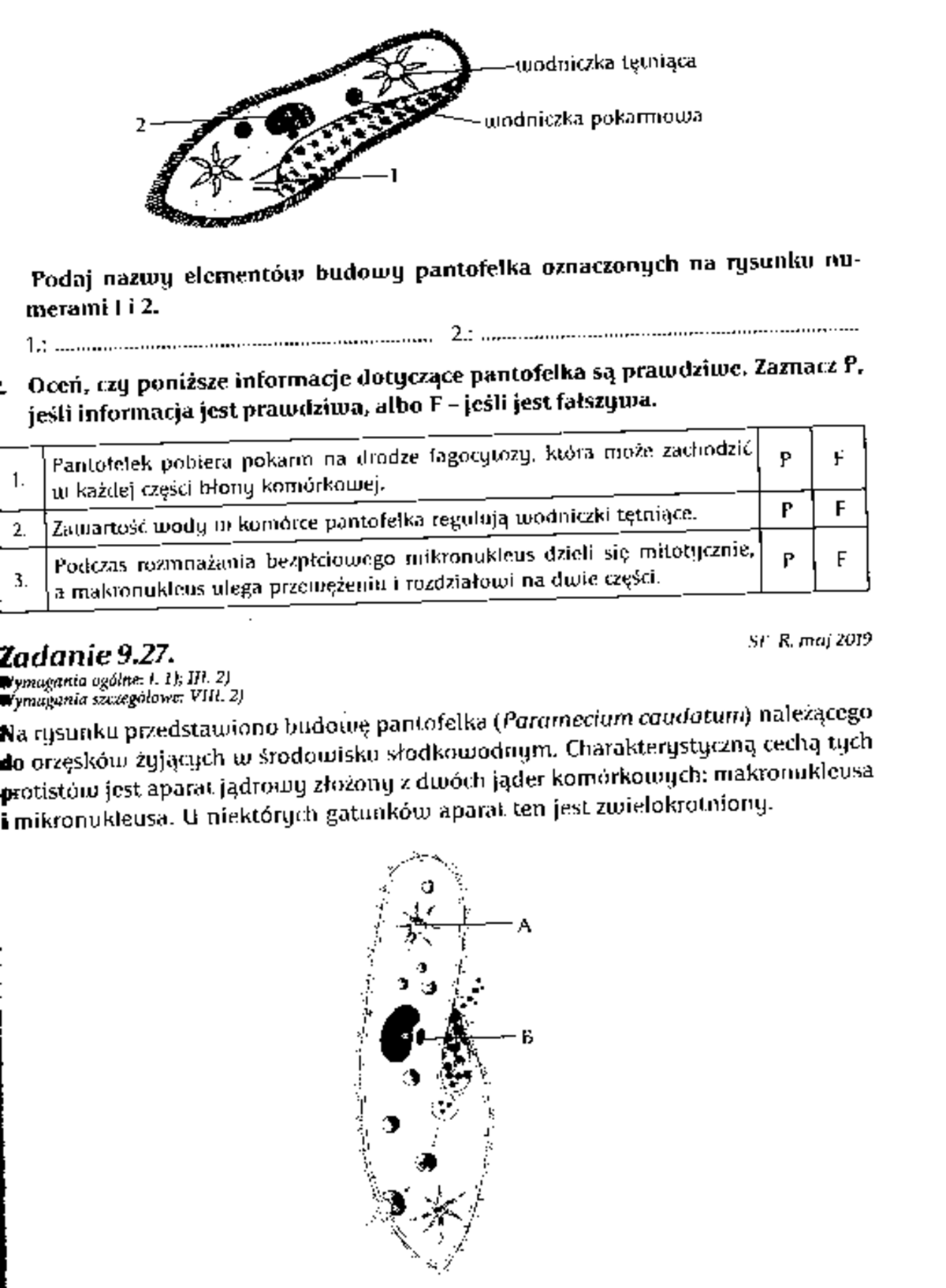 Protisty zadania dla r2 - wodniczka tetniaca 2 wodniczka pokarmowa 1 ...