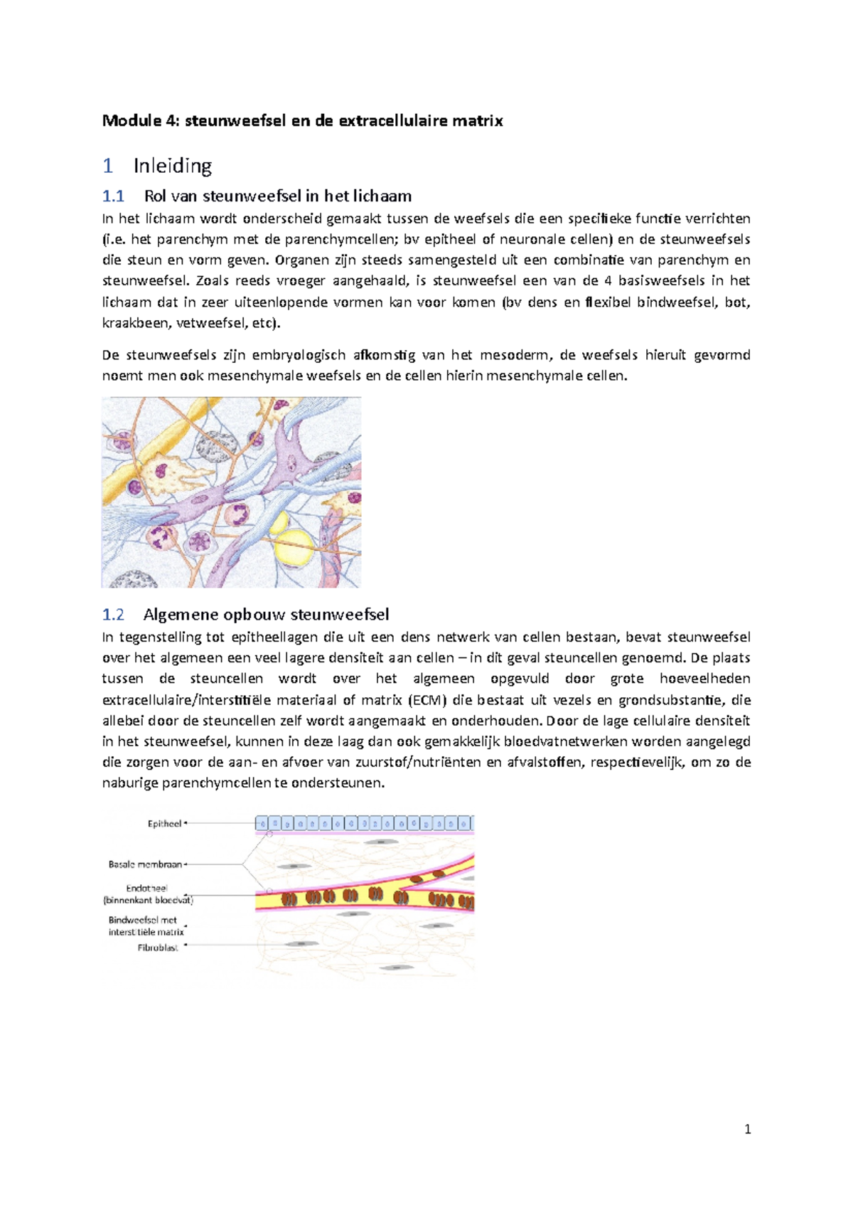 Histologie samenvatting module 4 - Module 4: steunweefsel en de ...