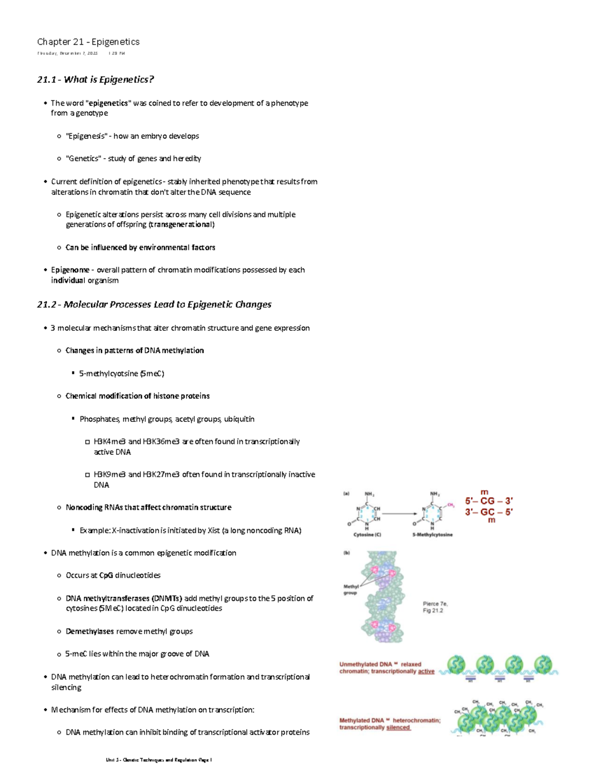 Chapter 21 - Epigenetics - 21 - What is Epigenetics? The word ...