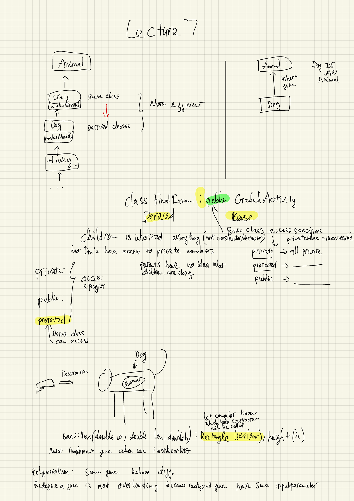 Lecture 7 - Lecture 7 mal al Dog ↑ ↑ in her t Animal ⑩ Base class ...