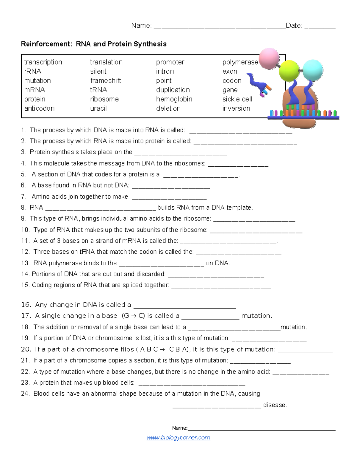 RNA and Protein Synthesis Activity Sheet - Name ...