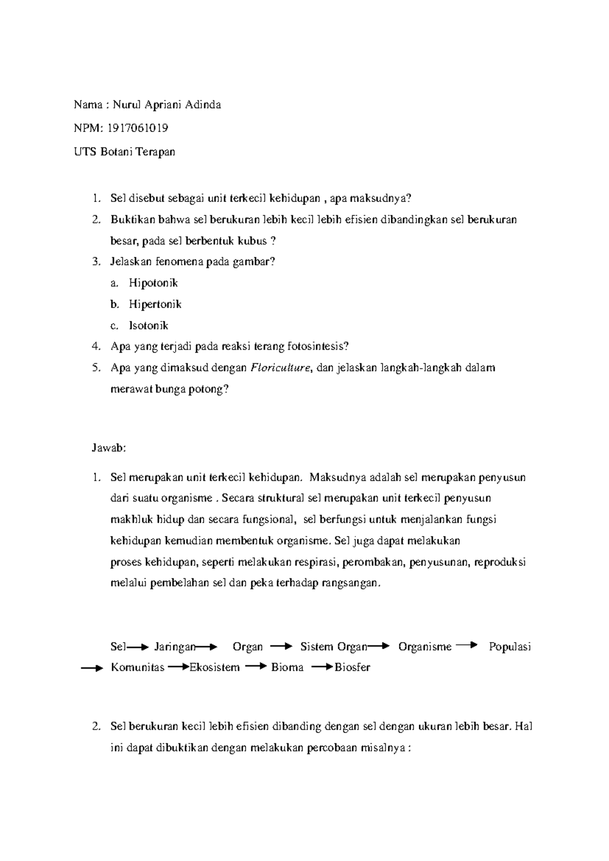 UTS Botani Terapan - Nama : Nurul Apriani Adinda NPM: 1917061019 UTS Botani Terapan Sel disebut ...