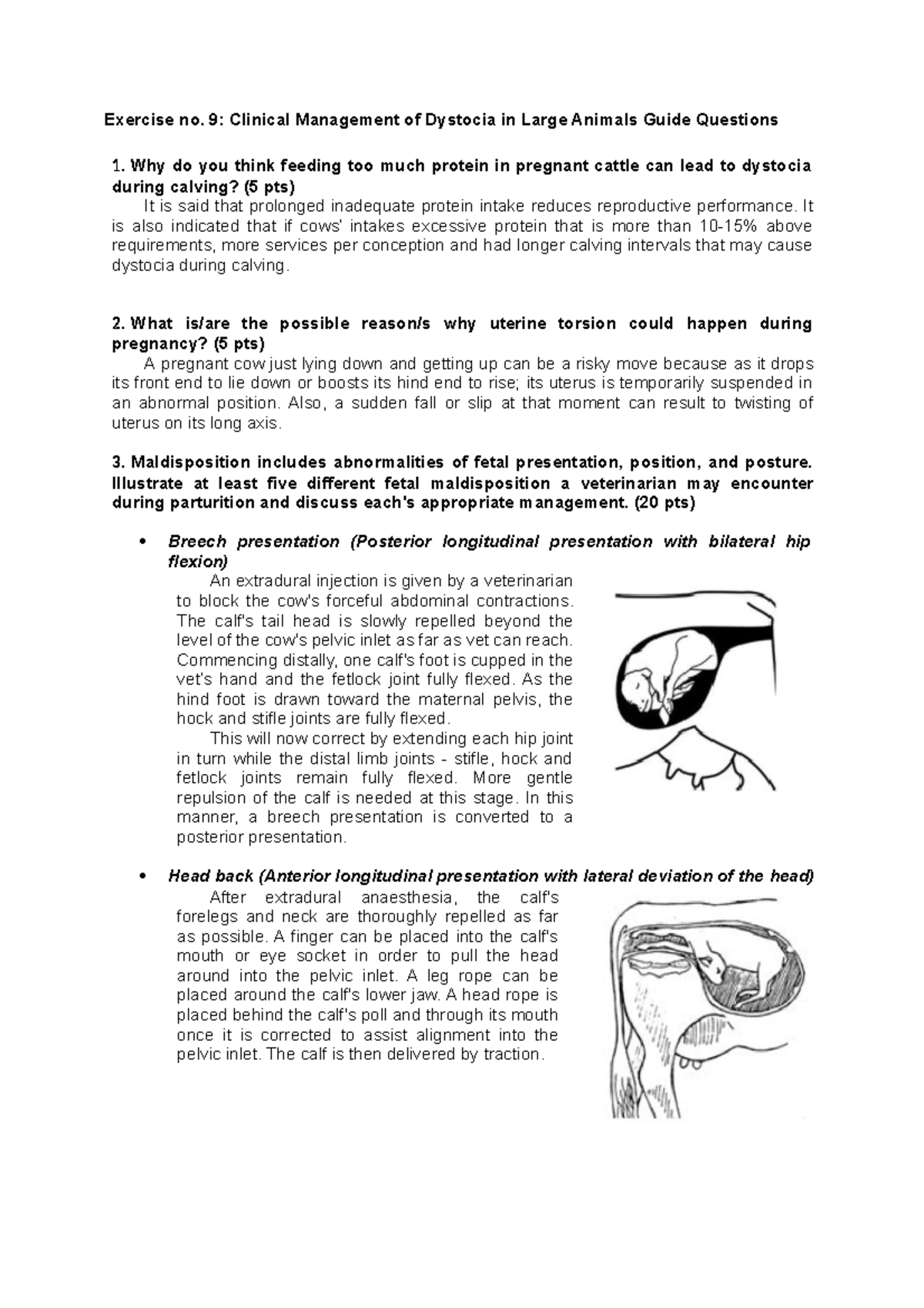 Clinical Management of Dystocia in Large Animals - Veterinary Virology ...