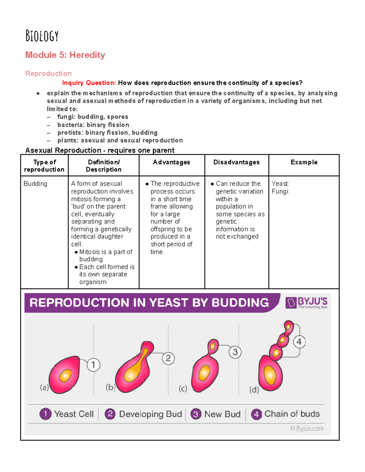 YEAR 12 Biology Notes Mod 5 - Biology Module 5: Heredity Reproduction ...
