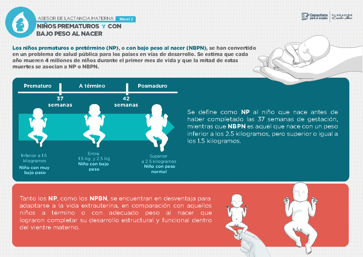 Niños prematuros y con bajo peso al nacer - Nivel 2 NIÑOS PREMATUROS Y ...