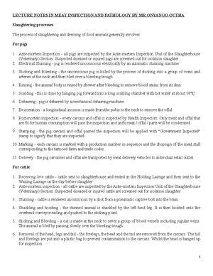 Dressing - notes - DRESSING Generally, in all communities dressing was ...