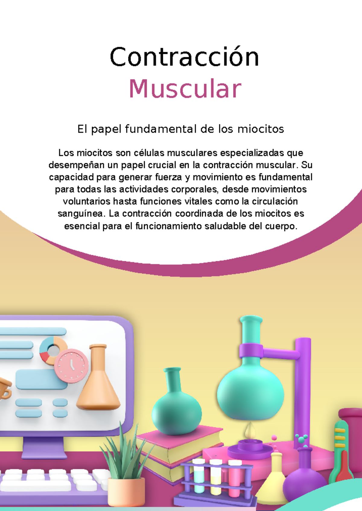 Las fases de la Mitosis - Contracción Muscular El papel fundamental de ...