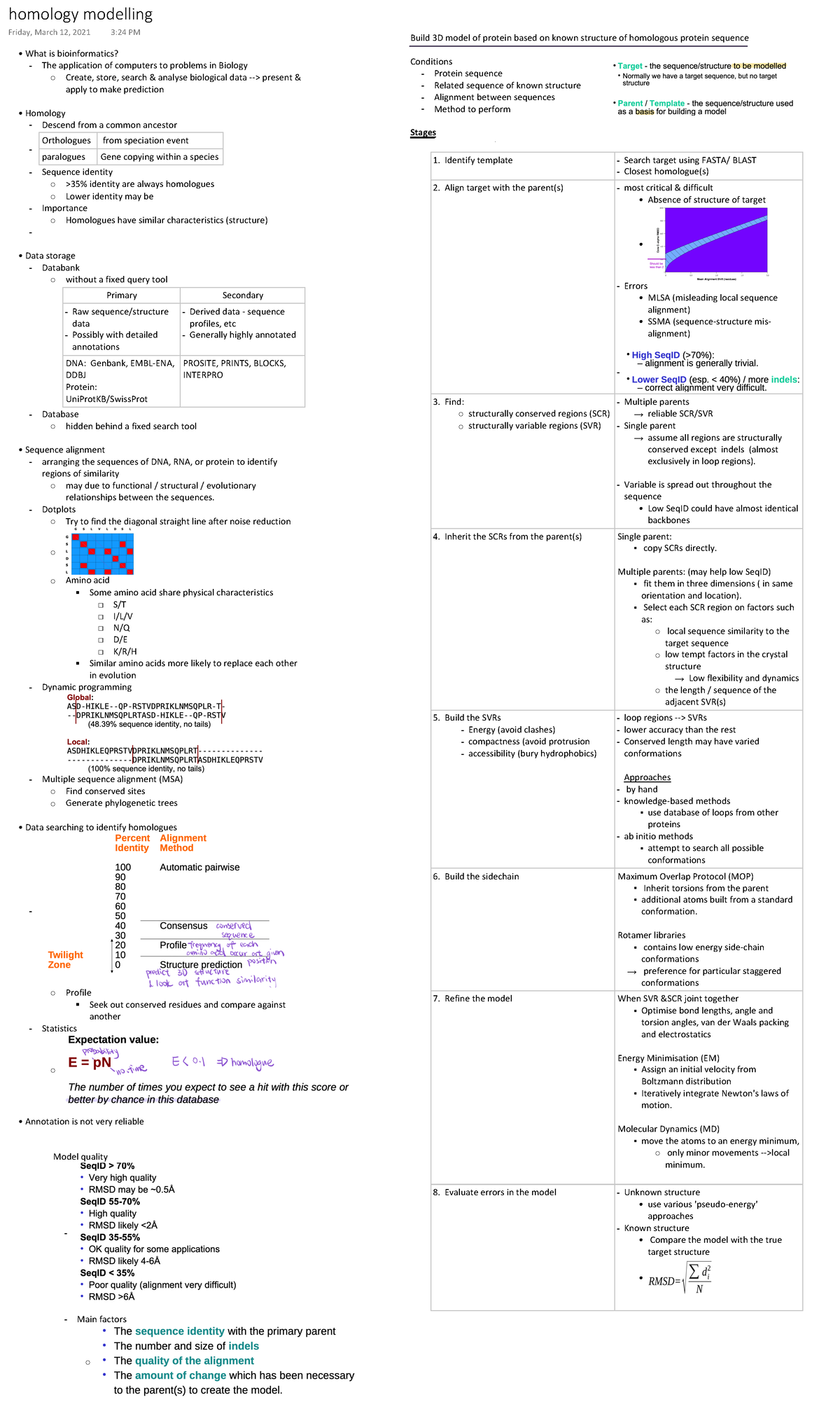 Bioc3 theory - homology modelling - Build 3D model of protein based on ...