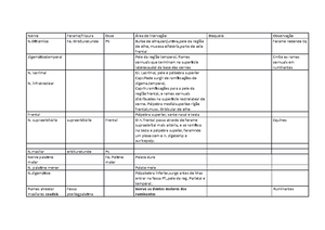 Região torácica lateral - lateral TORACOTOMIA PARA ESOFAGOTOMIA ...