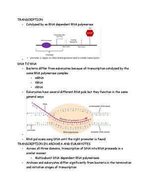 Experiment 7C - day 2 notes - Experiment 7C - inoculate all media for ...